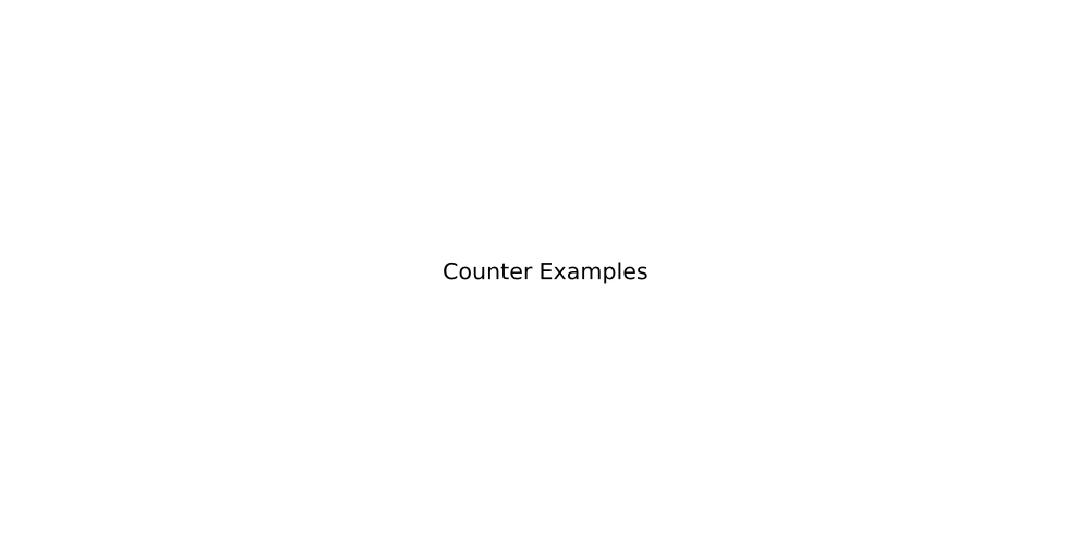 Counter Examples