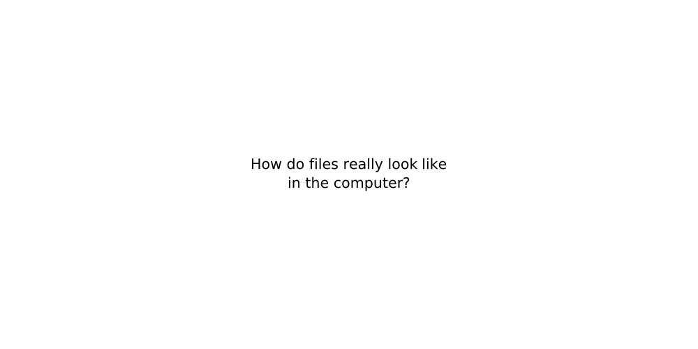 How do files really look like in the computer?